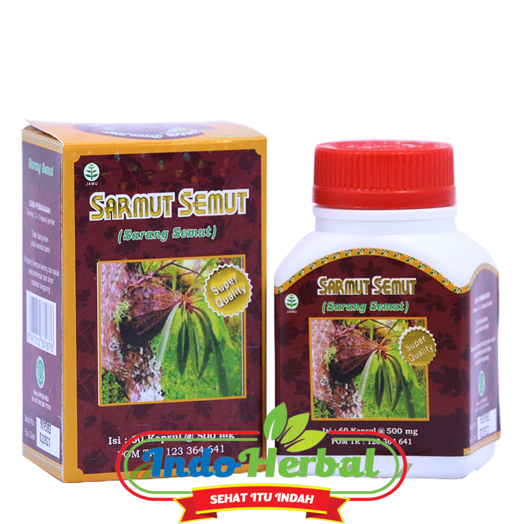 Jual Sarmut Semut Kapsul | Sarmut | Sarang Semut | | Shopee Indonesia