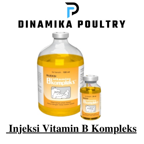 Jual Injeksi Vitamin B Kompleks 100 ml | Shopee Indonesia