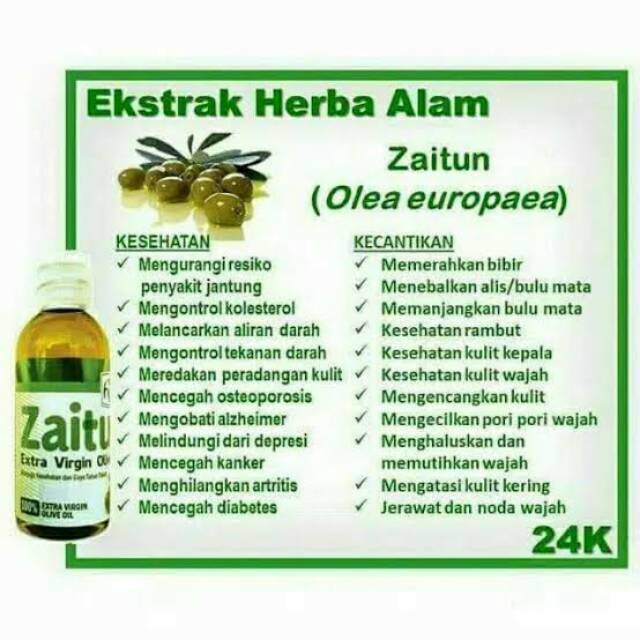 Jual Zaitun oil (harga sesuai katalog resmi hpai) | Shopee Indonesia