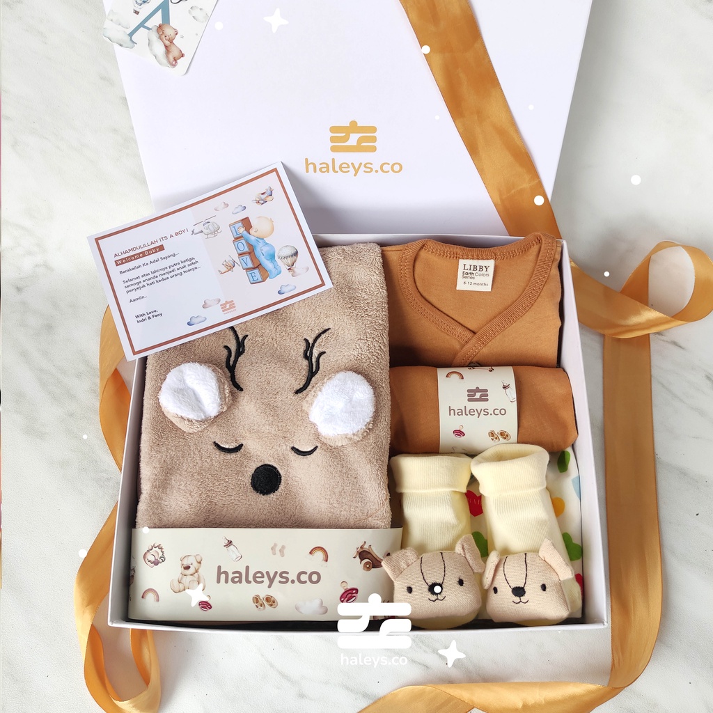 Jual Haleys.co | Ginger Brown Boys Baby Hampers 0-12 months/ Hampers ...