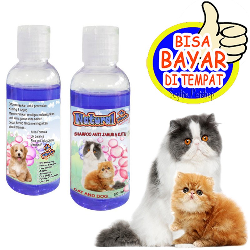 Jual SAMPO KUCING SHAMPO ANJING ANTI JAMUR KUTU NATURAL PLUS MINI 50 ML ...