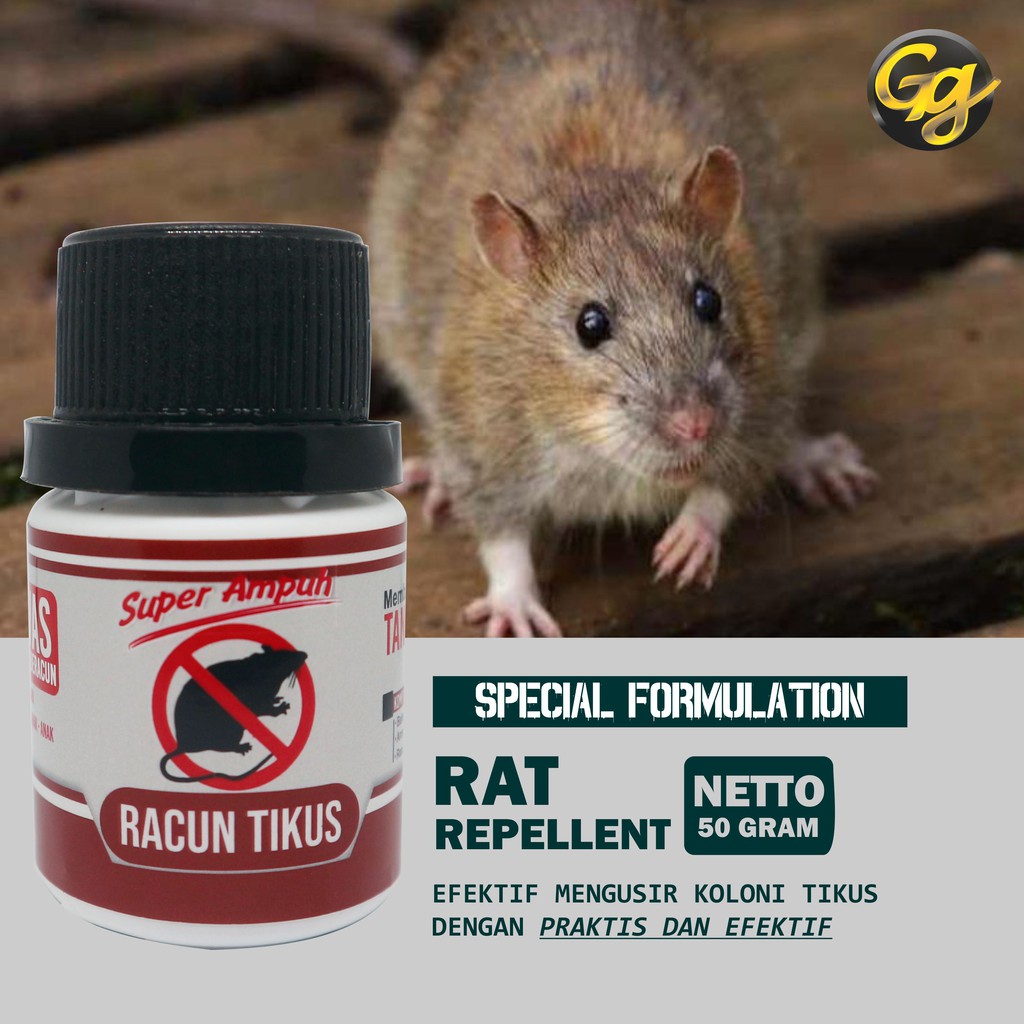Jual RACUN TIKUS OBAT TIKUS PEMBASMI TIKUS MEMBUNUH TIKUS SUPER AMPUH ...