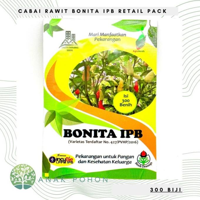 Jual ( 1 PACK ) Benih Cabai Rawit Putih Bonita IPB Seeds Retail Pack (1 ...