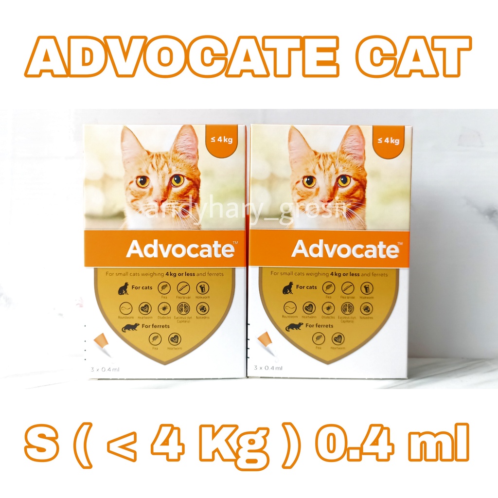 Jual Advocate Cat S
