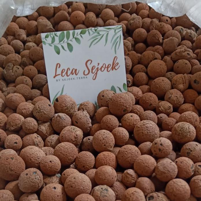 Jual LECA SEJOEK KARUNG 10 L / PREMIUM HYDROTON / HIDROTON / HIDROPONIK | Shopee Indonesia