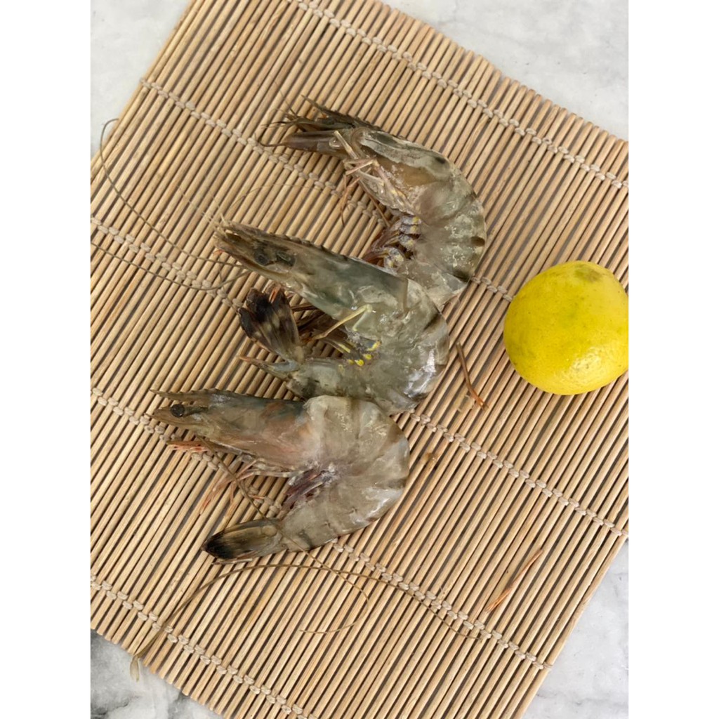 Jual UDANG WINDU / UDANG BLACK TIGER SIZE 35 | Shopee Indonesia