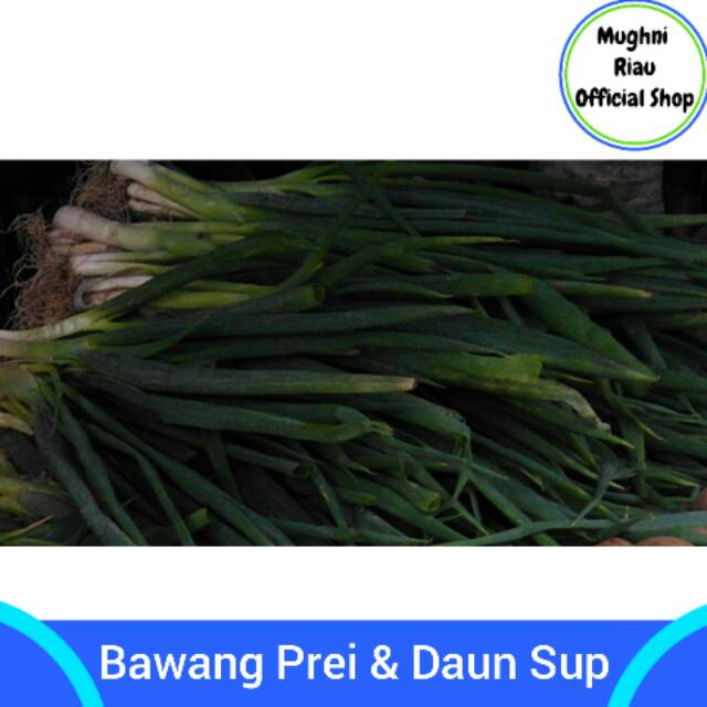 Jual Bawang Prei dan Daun Sup Per Ikat Kecil | Shopee Indonesia