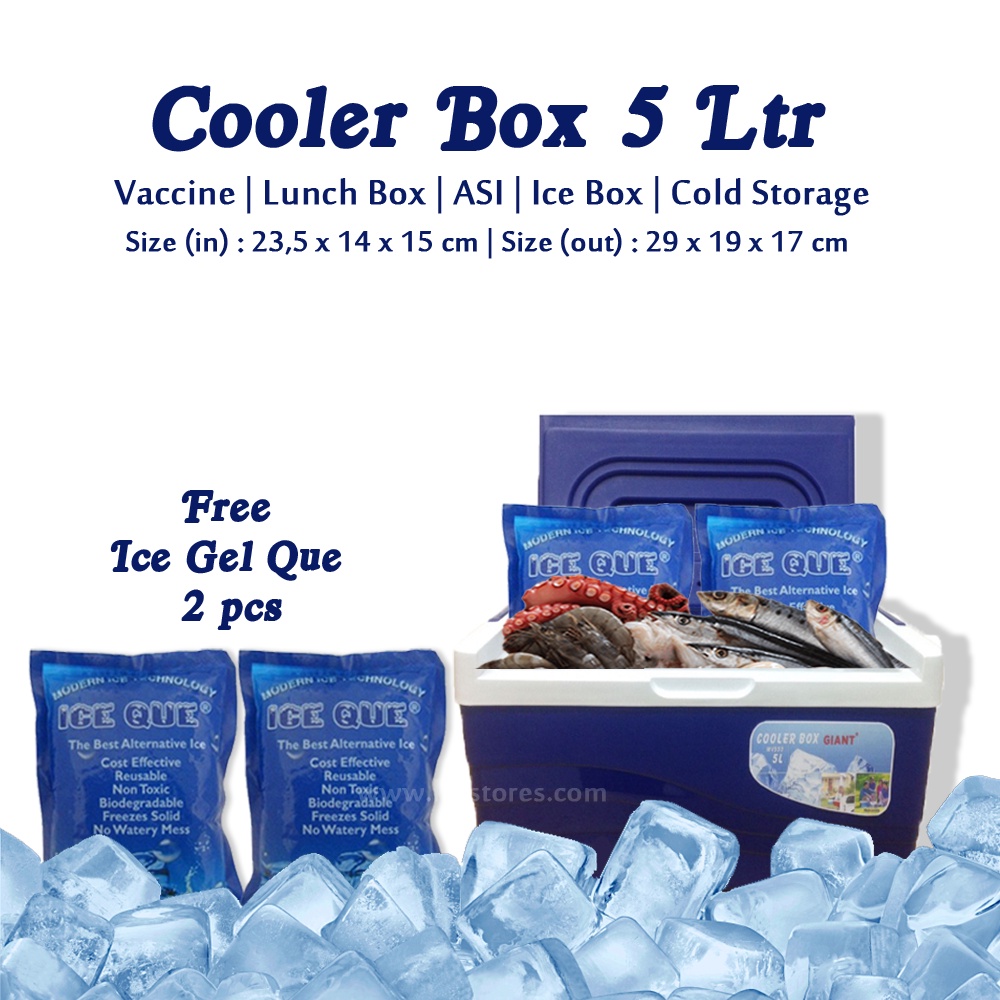 Jual Vaccine Carrier Box 5 Liter Cool box Cooler Box Vaksin | Shopee ...