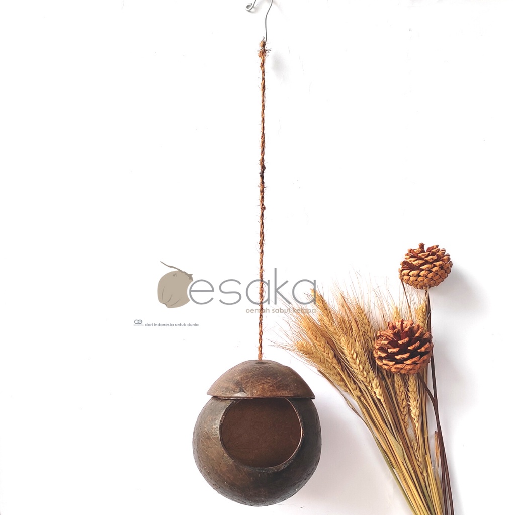 Jual Glodok lovebird - glodok batok burung murai - sangkar burung batok ...