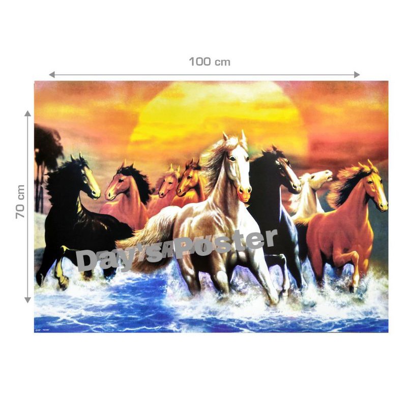 Jual Poster Kuda Ukuran Gede 70cm x 100cm | Shopee Indonesia