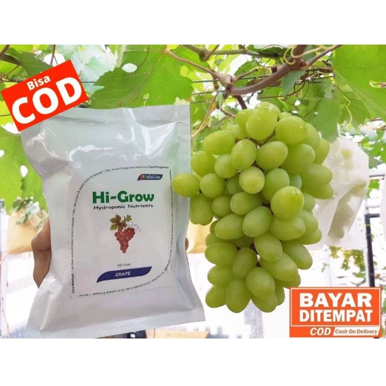 Jual PUPUK ANGGUR Hi-Grow Nutrisi AB Mix Hidroponik Anggur | Shopee ...