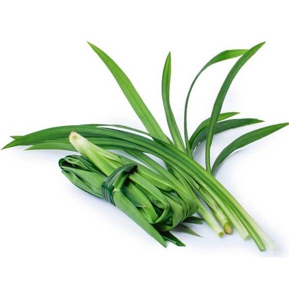 Jual Daun Pandan per Pack | Shopee Indonesia