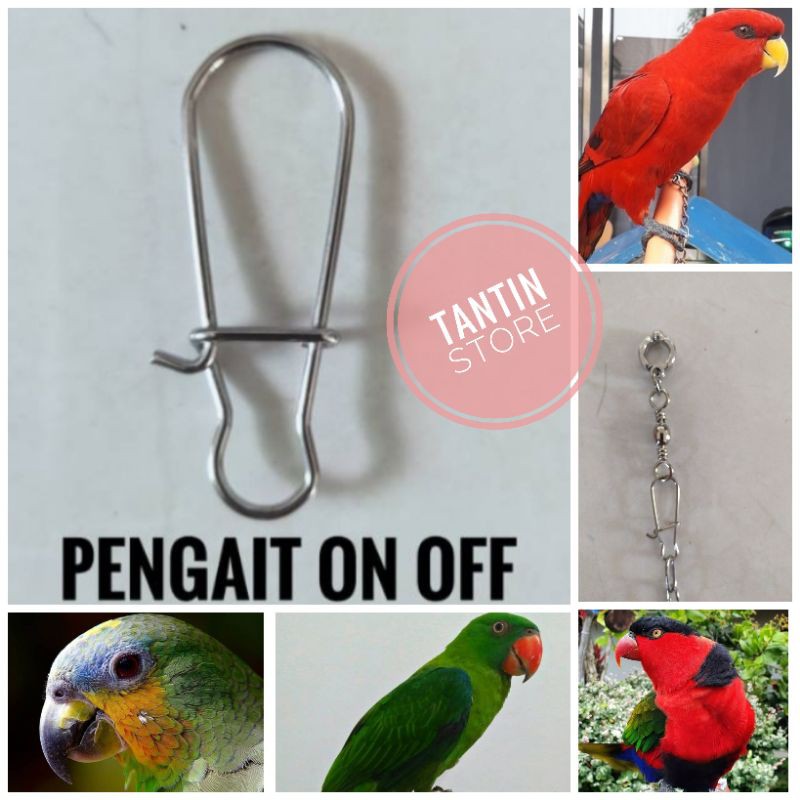 Jual Pengait Penyambung Rantai Burung Nuri Betet Sunconure | Shopee ...