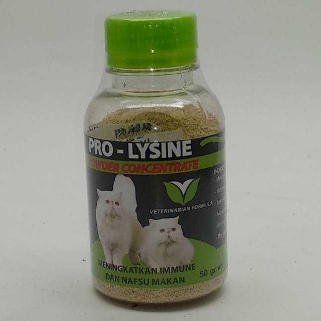 Jual Pro-Lysine Obat Penumbuh Bulu Kucing Lengkap Vitamin | Shopee ...