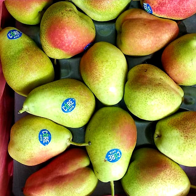 Jual PEAR FORELLE AFRICA FRESH IMPORT PER PACK | Shopee Indonesia