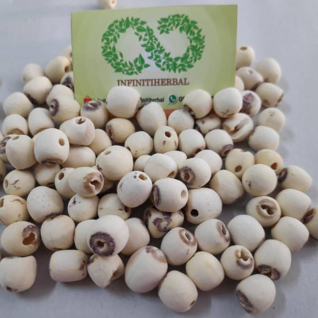 Jual Lotus Seeds Biji Teratai Lien Zi | Shopee Indonesia