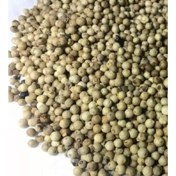 Jual MERICA - LADA BUTIR - MERICA BUTIR | Shopee Indonesia