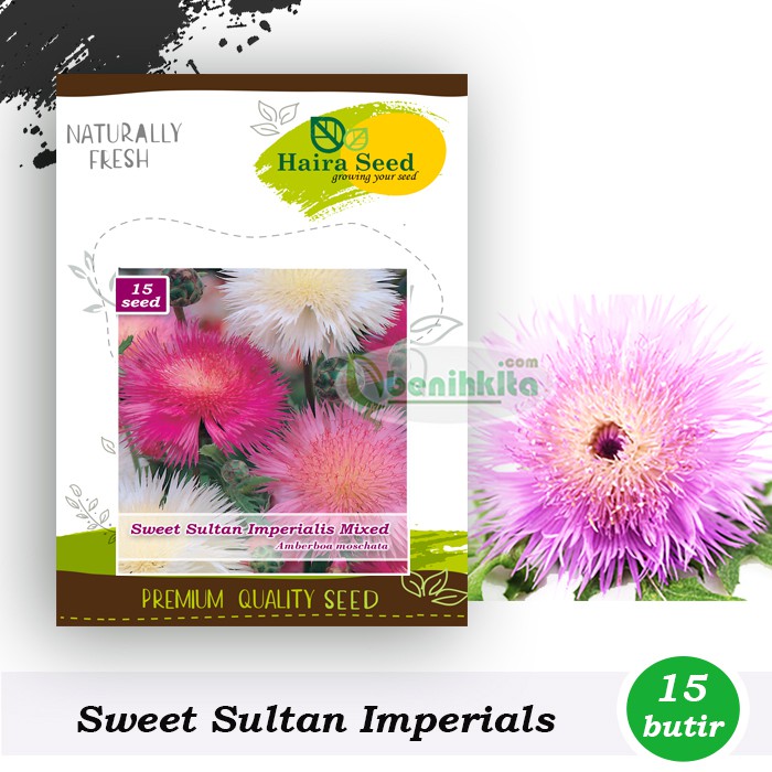 Jual Benih-Bibit Bunga Sweet Sultan Imperialis Mix (Haira Seed ...