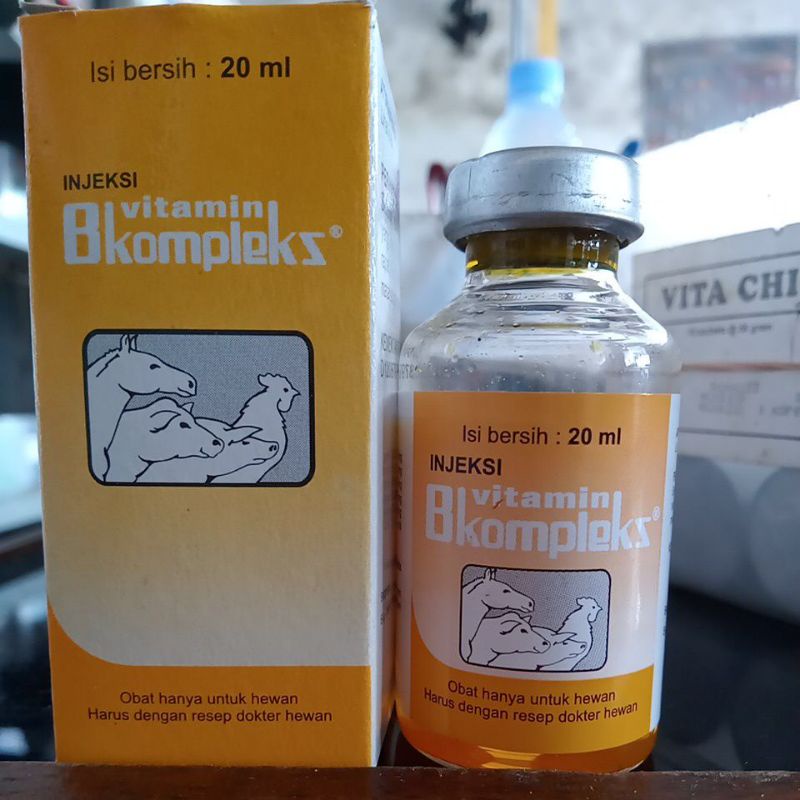 Jual VITAMIN B KOMPLEKS INJEKSI 20 ML DAN 100 ML meningkatkan ...