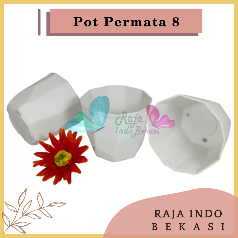 Jual Pot Permata Diamond 8CM Putih Pot Kecil Mini Plastik Semen Putih ...