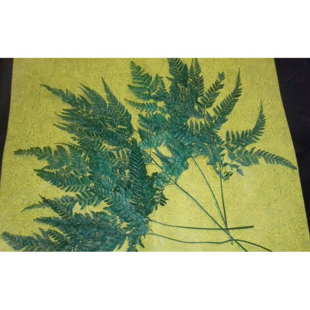 Jual DAUN PAKIS ARTIFICIAL | Shopee Indonesia