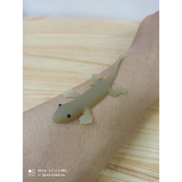 Jual Mainan cicak karet mirip asli | Shopee Indonesia