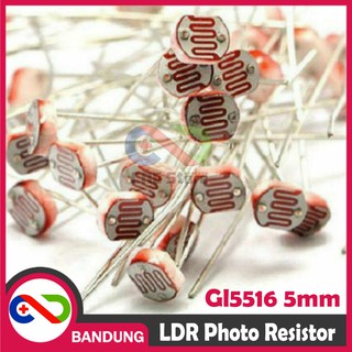 Jual LDR GL5516 5MM PHOTORESISTOR PHOTO RESISTOR GL 5516 | Shopee Indonesia