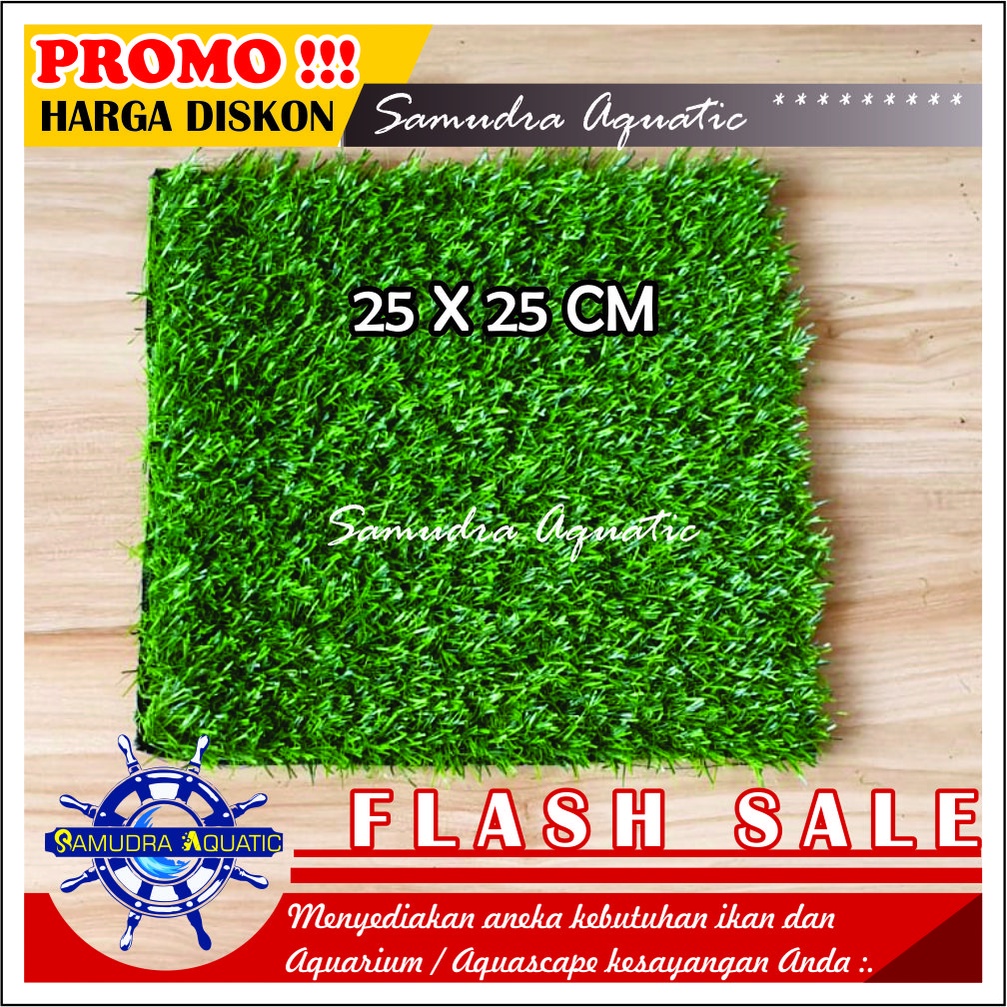 Jual Rumput Aquarium Aquascape Sintesis (Cocok Untuk AQUARIUM KECIL ...