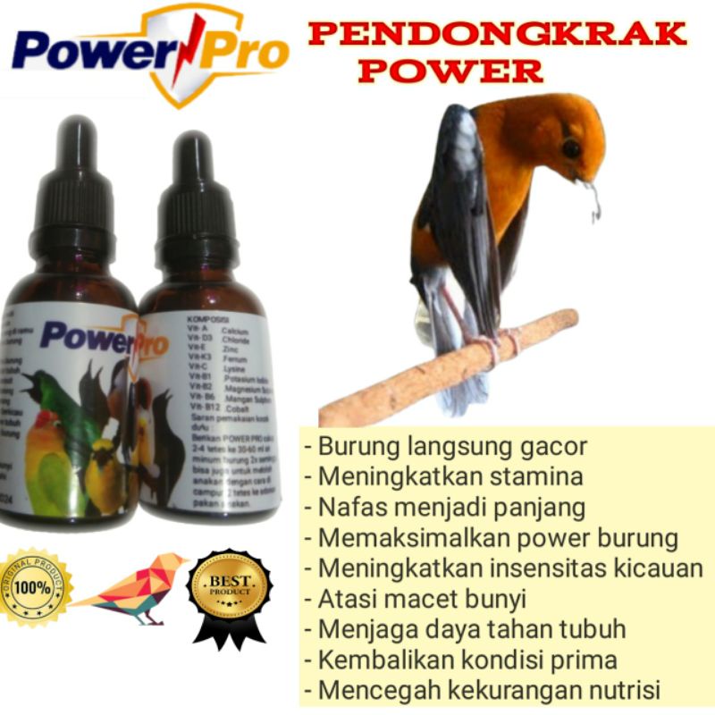 Jual vitamin murai batu punglor anis merah suplemen penggacor ...