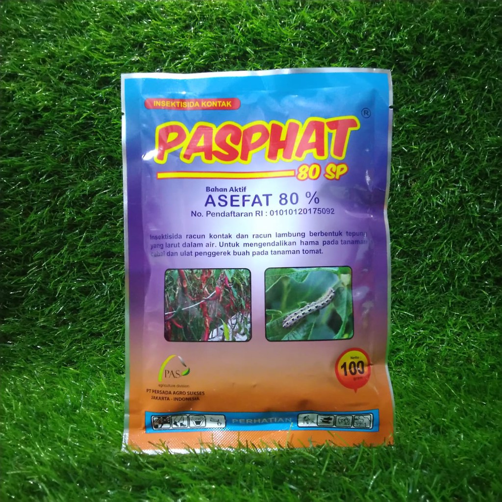 Jual PASPHAT 80WP 100gram - bahan aktif asefat / PESTISIDA INSEKTISIDA ...
