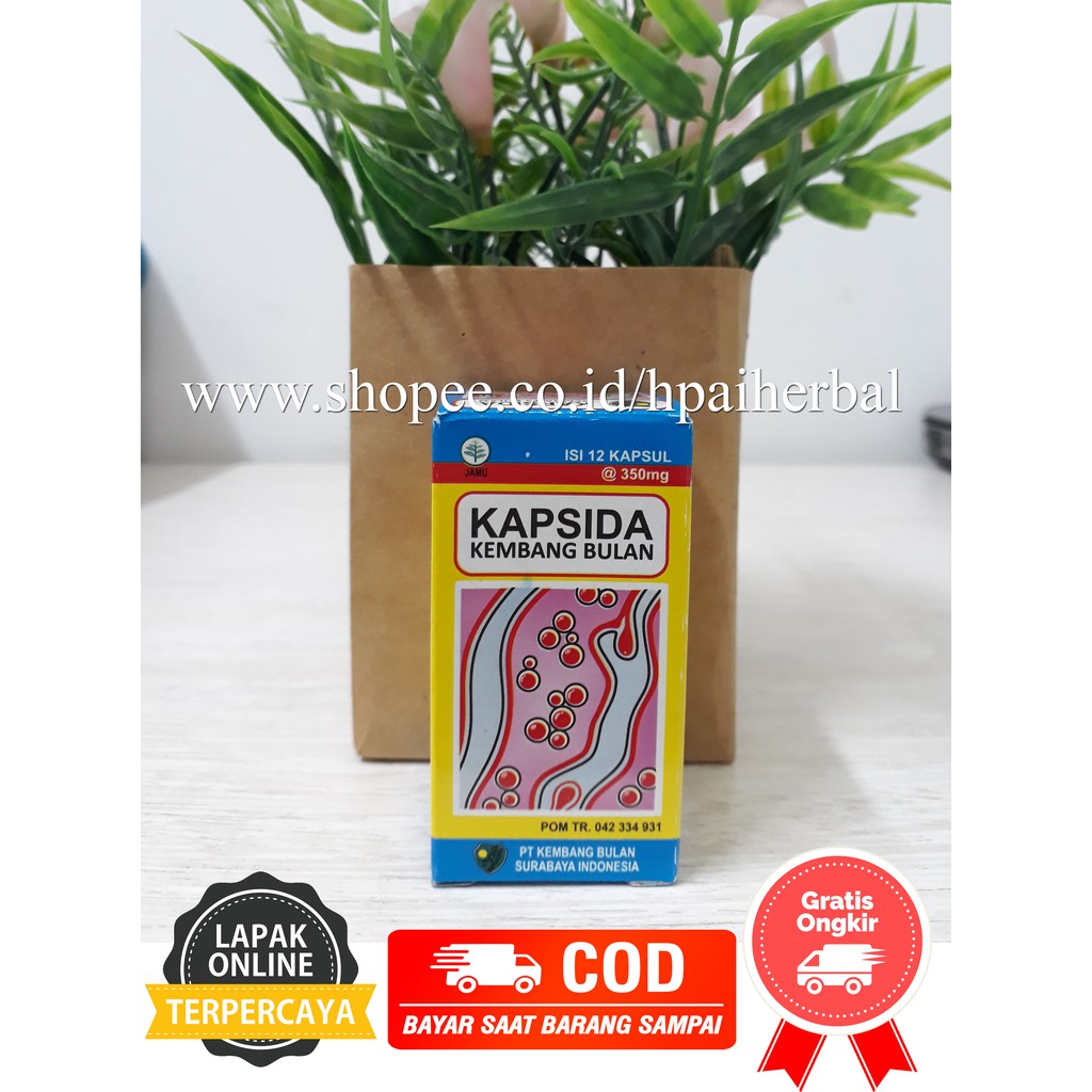 Jual KAPSIDA 12 KAPSUL OBAT JERAWAT, BISUL, KORENG, GATAL BERSIH DARAH ...