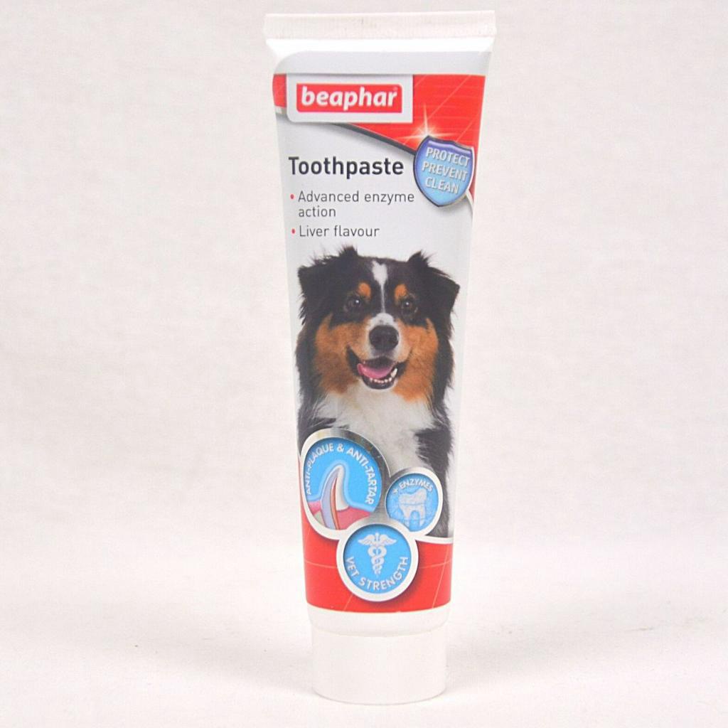Jual BEAPHAR Pasta Gigi Anjing Toothpaste Liver Flavour 100g | Shopee ...