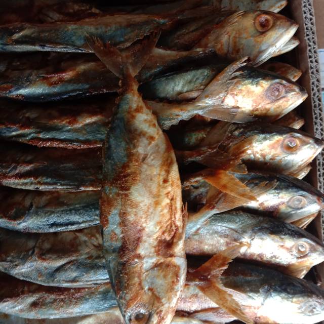 Jual Ikan peda merah besar (250gr) | Shopee Indonesia