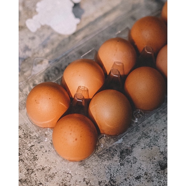Jual Harga Telur Ayam Ras Terlengkap & Harga Terbaru Juni 2026 | Shopee ...