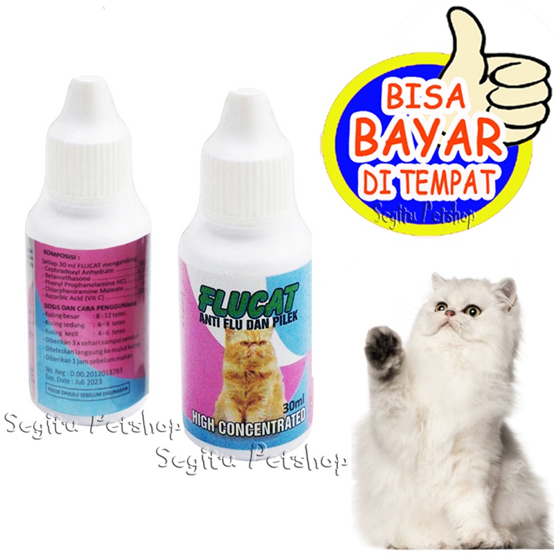 Jual Obat Flu Kucing Pilek Flucat | Shopee Indonesia