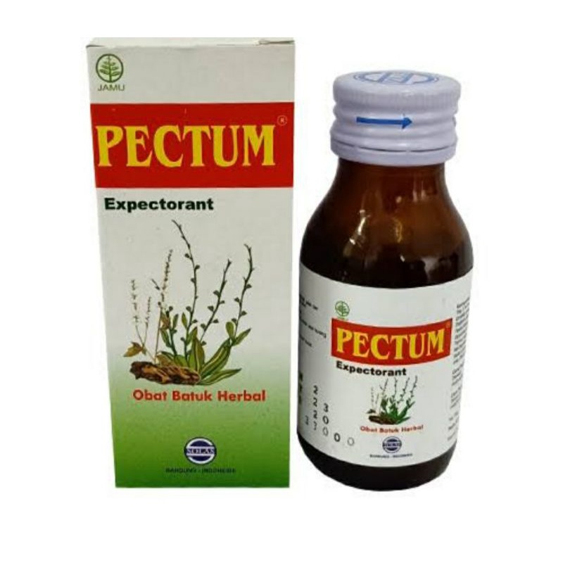 Jual Pectum Obat Batuk herbal 60ml | Shopee Indonesia