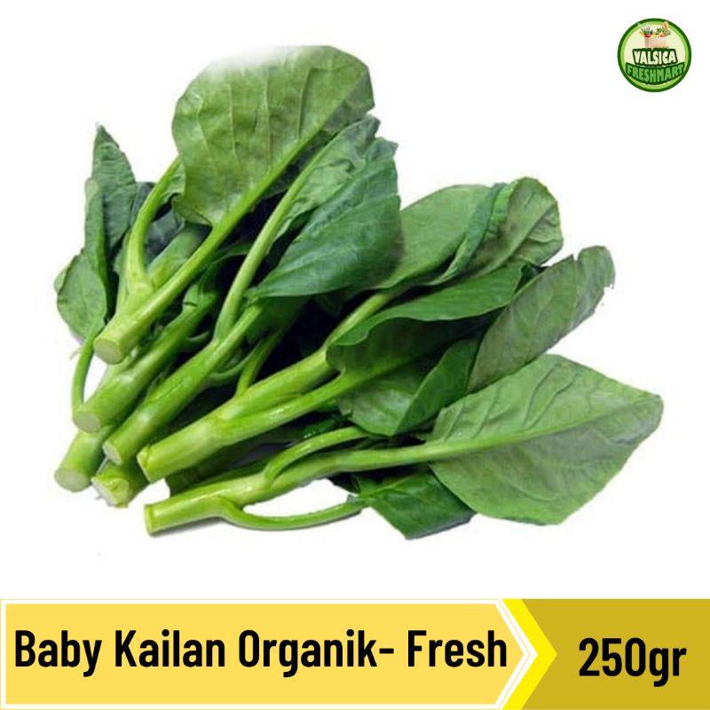 Jual Kailan Baby Organik - 250gr | Shopee Indonesia