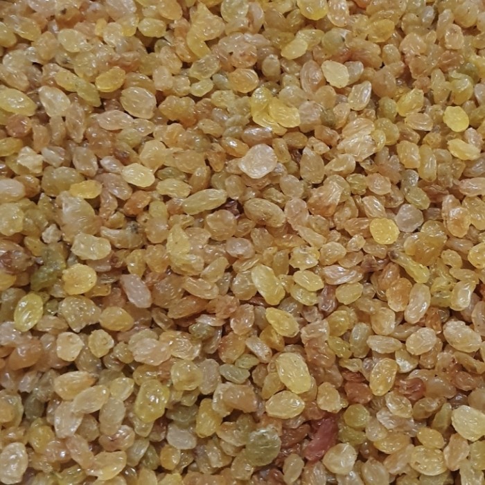 Jual kismis raisin buah anggur kering 500gr | Shopee Indonesia