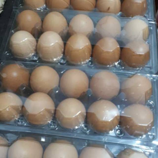 Jual EGGTRAY MIKA EGGTRAY PLASTIK ISI 10 MIKA TELUR | Shopee Indonesia