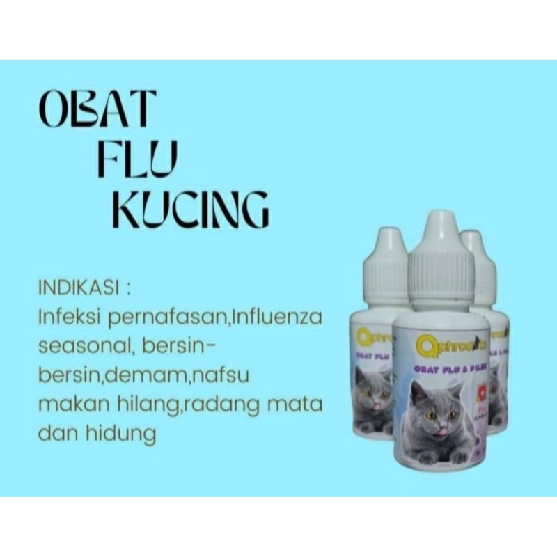 Jual OBAT FLU KUCING | Shopee Indonesia