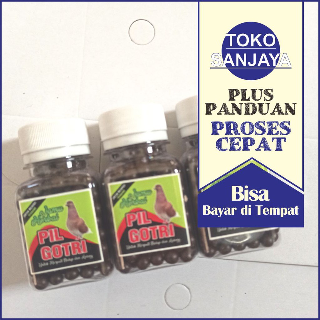 Jual Pil Gotri Merpati Jamu Burung Merpati Herbal Giring Stamina Full ...