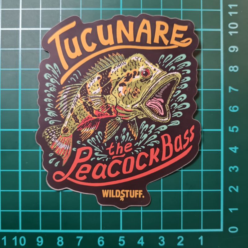 Jual STICKER TUCUNARE THE PEACOCK BASS | Shopee Indonesia