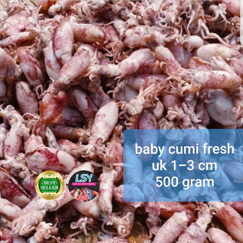 Jual ikan asin baby cumi / cumi asin / cumi rebus 78 berat 500gram ...