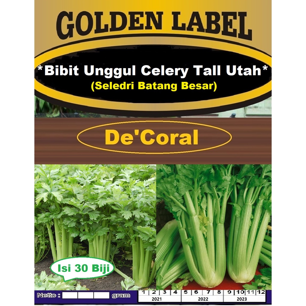 Jual Bibit Celery Tall Utah | Benih Seledri Batang Besar | Seledri ...