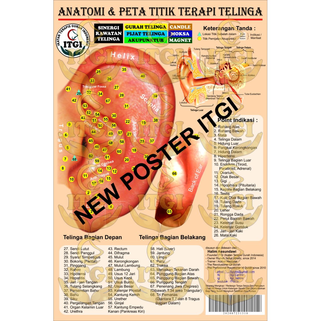 Jual POSTER TITIK TERAPI TELINGA | Shopee Indonesia