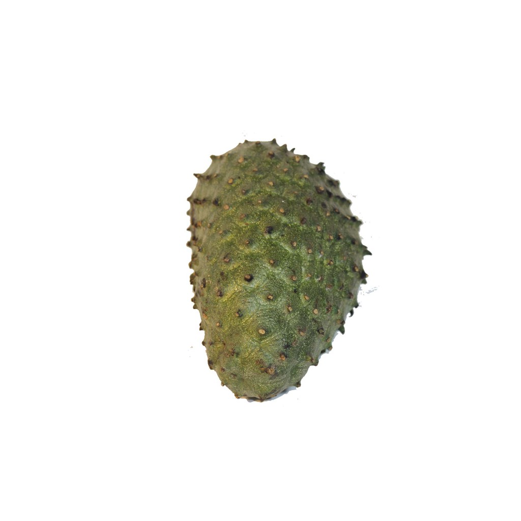 Jual SIRSAK (PCS) + / - 1,2 Kg (3111) | Shopee Indonesia