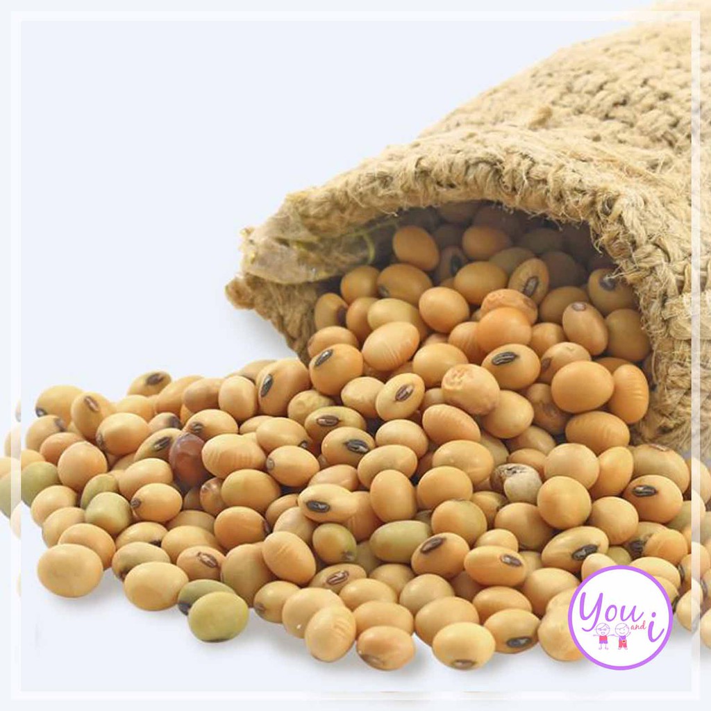 Jual Benih KEDELAI [isi-8] Soybean - Biji Bibit Sayur | Shopee Indonesia