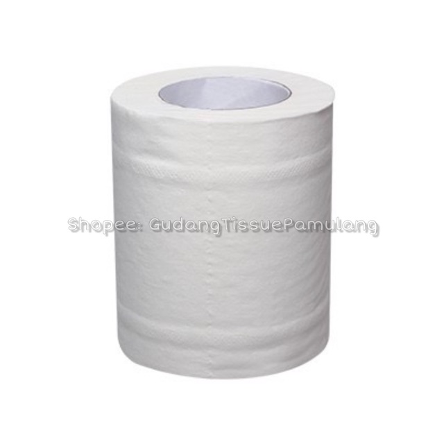 Jual LIVI ECO SMARTDUE SMART DUE ROLL || tisu tissue gulung toilet ...