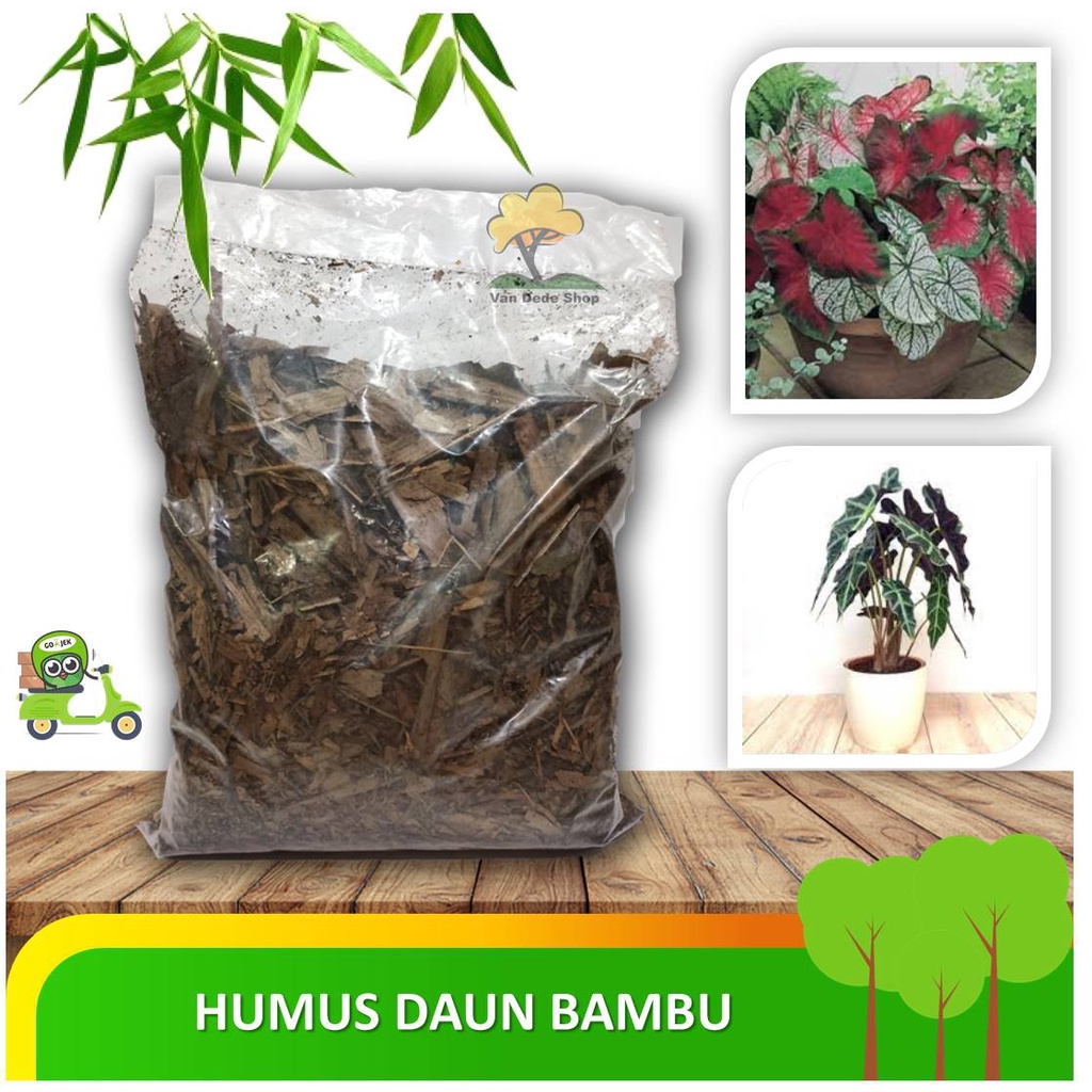 Jual MEDIA TANAM HUMUS DAUN BAMBU SIAP PAKAI | Shopee Indonesia