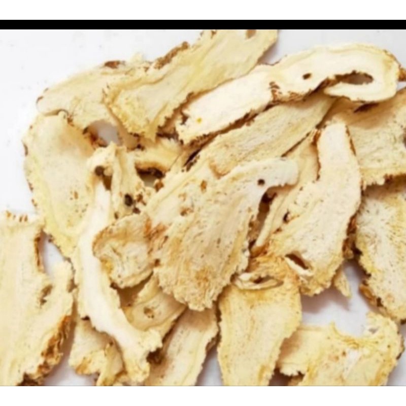 Jual Dang Gui 37gram / Tong Kui Tou / Angelica Roots (Slice) - Untuk ...